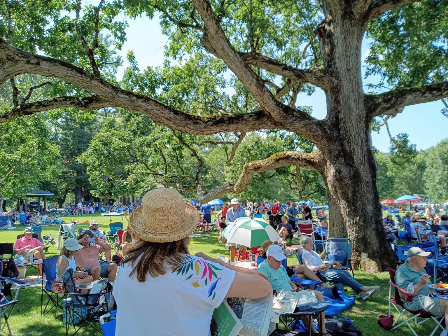 BSO adds Popular Artist concerts to Tanglewood 2025 schedule ...