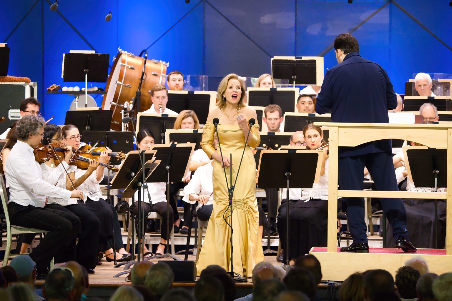 Renee Fleming, Boston Symphony, Tanglewood July 7 » Berkshire Links